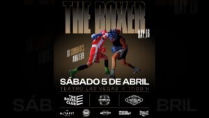 Gimnasios de Boxeo | The Boxer Club